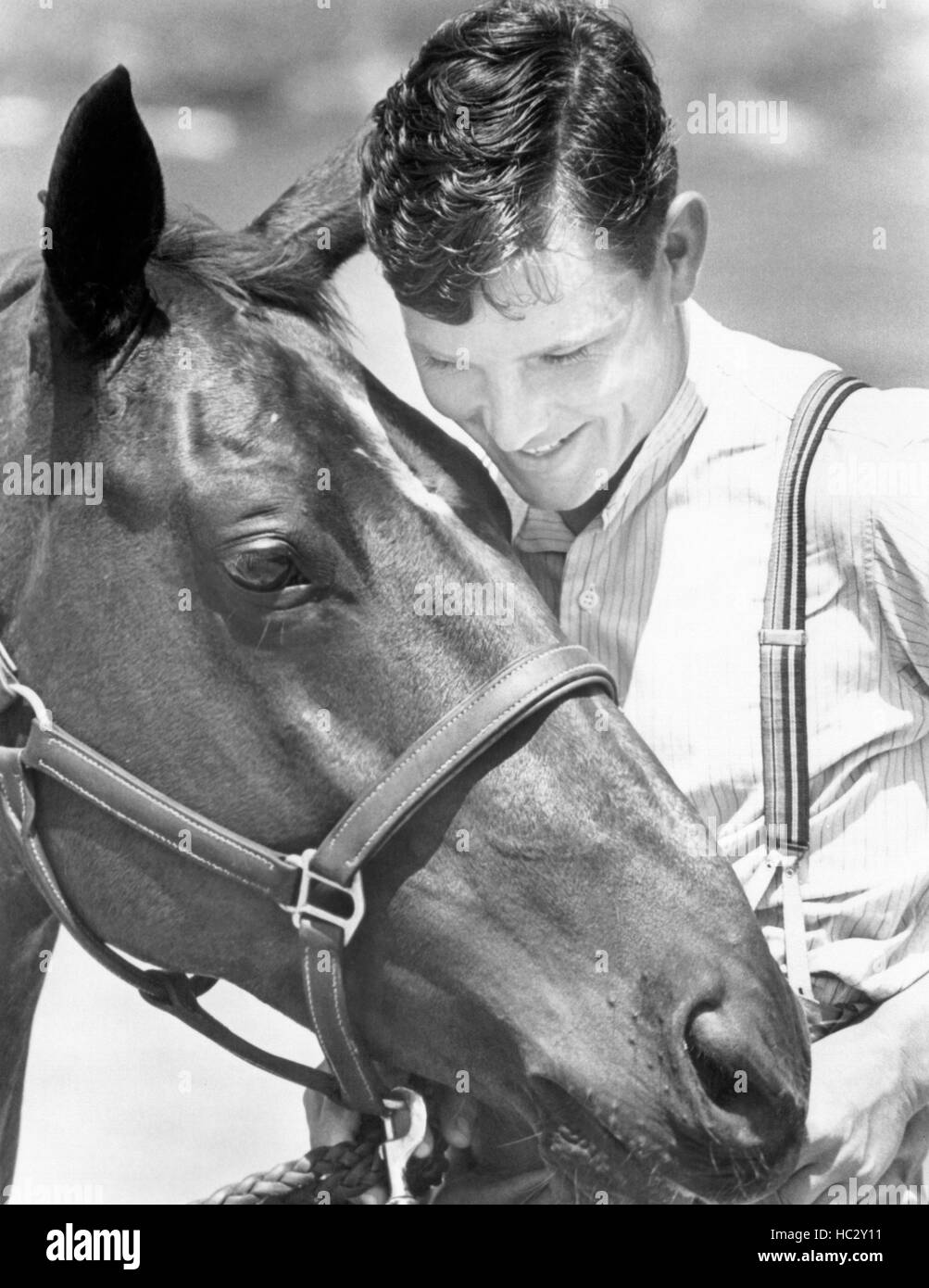 PHAR LAP, Tom Burlinson, 1983, TM and Copyright ©20th Century Fox Film Corp. All rights reserved ...