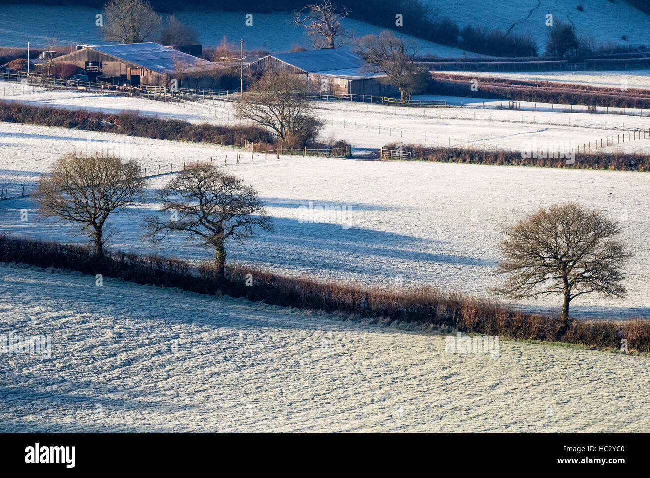 Frosty Torridge Valley View: Looking From Torrington Down the River ...