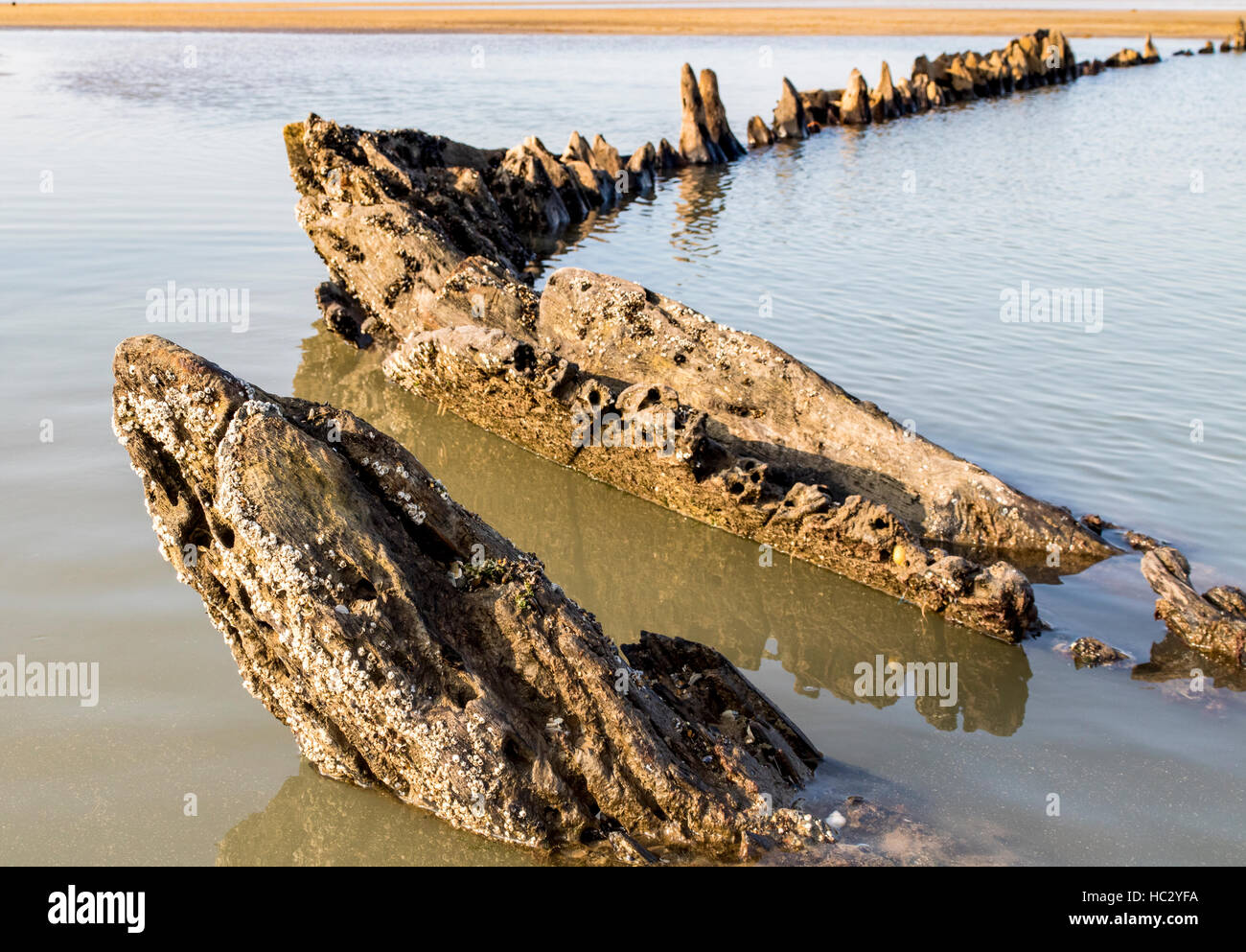 Rotting Timber Construction Detail, 18th c Pollaca Brigg. Sailing Ship ...