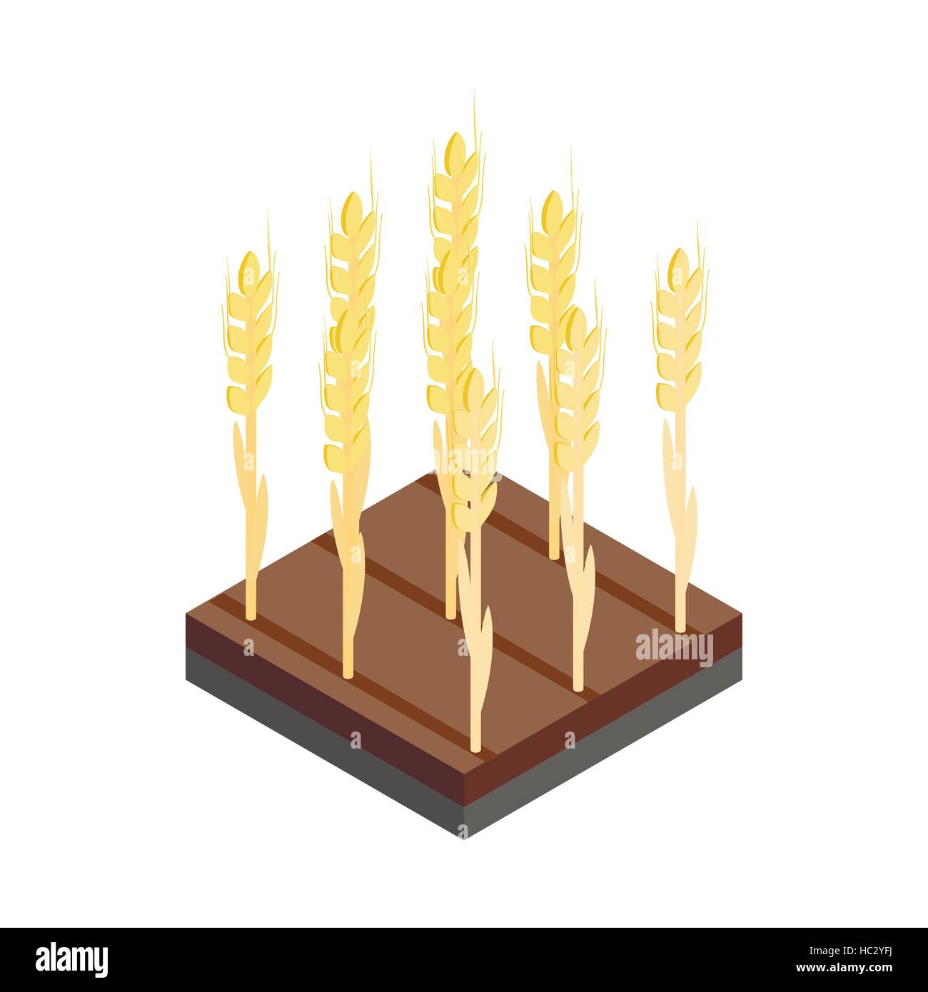 Yellow golden straw on Stock Vector Images - Alamy