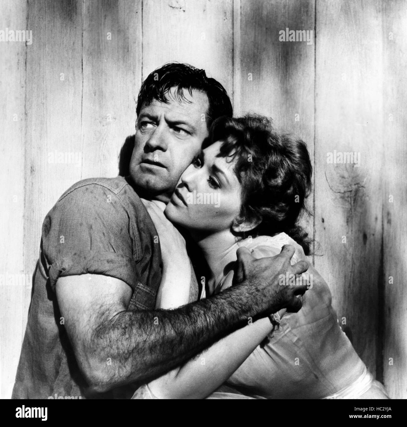PICNIC, from left: William Holden, Kim Novak, 1955 Stock Photo - Alamy