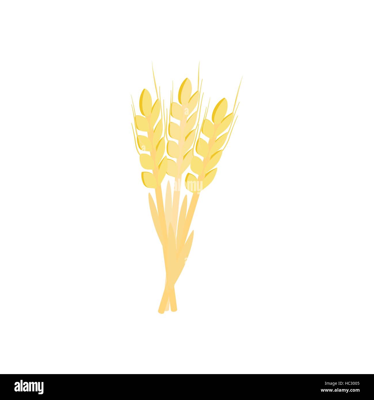 Three stalks of ripe barley isometric 3d icon Stock Vector Image & Art ...