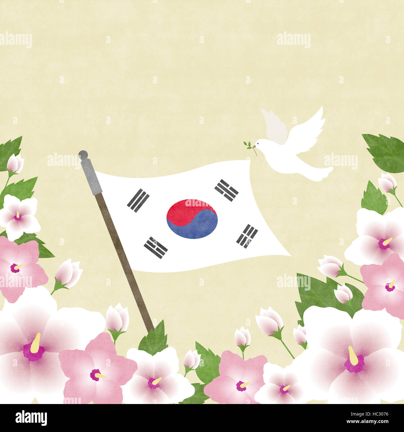 Korean flag and a white dove flying with roses of Sharon Stock Photo ...
