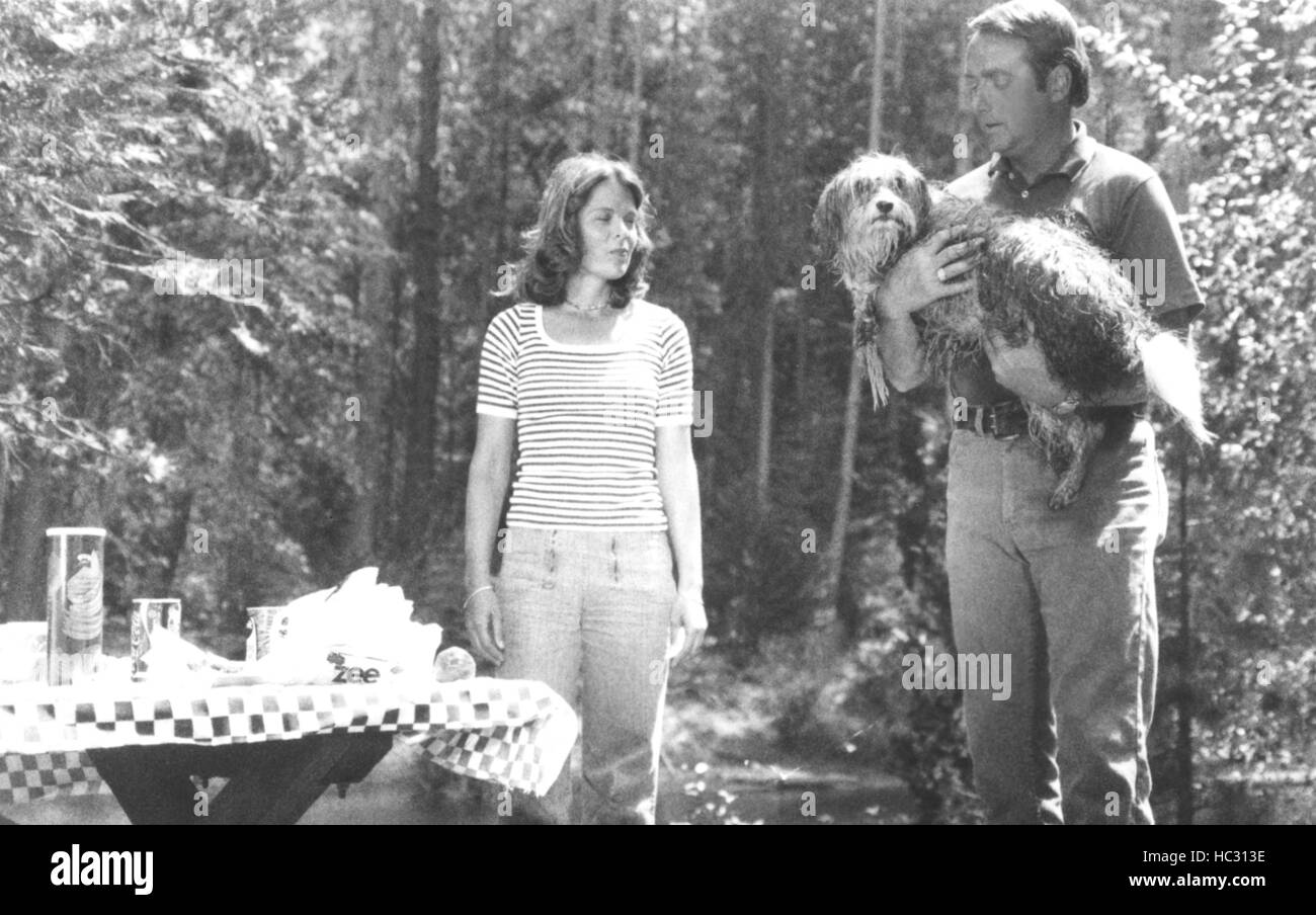 POCO...LITTLE DOG LOST, Poco the dog with unknown actors, 1977 Stock ...