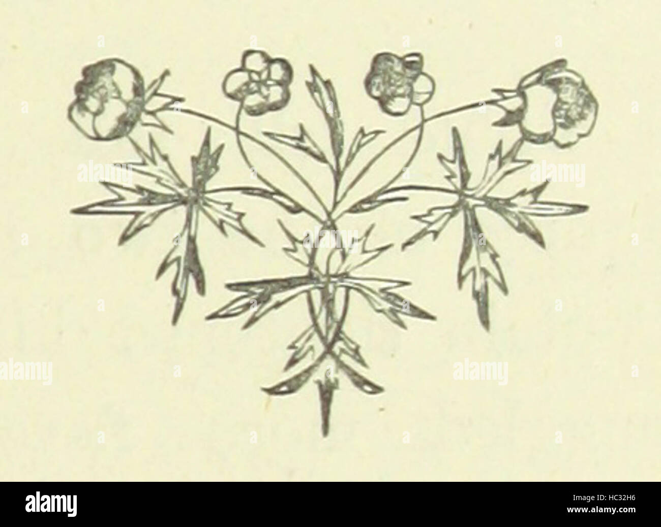 Colleen pages hi-res stock photography and images - Alamy