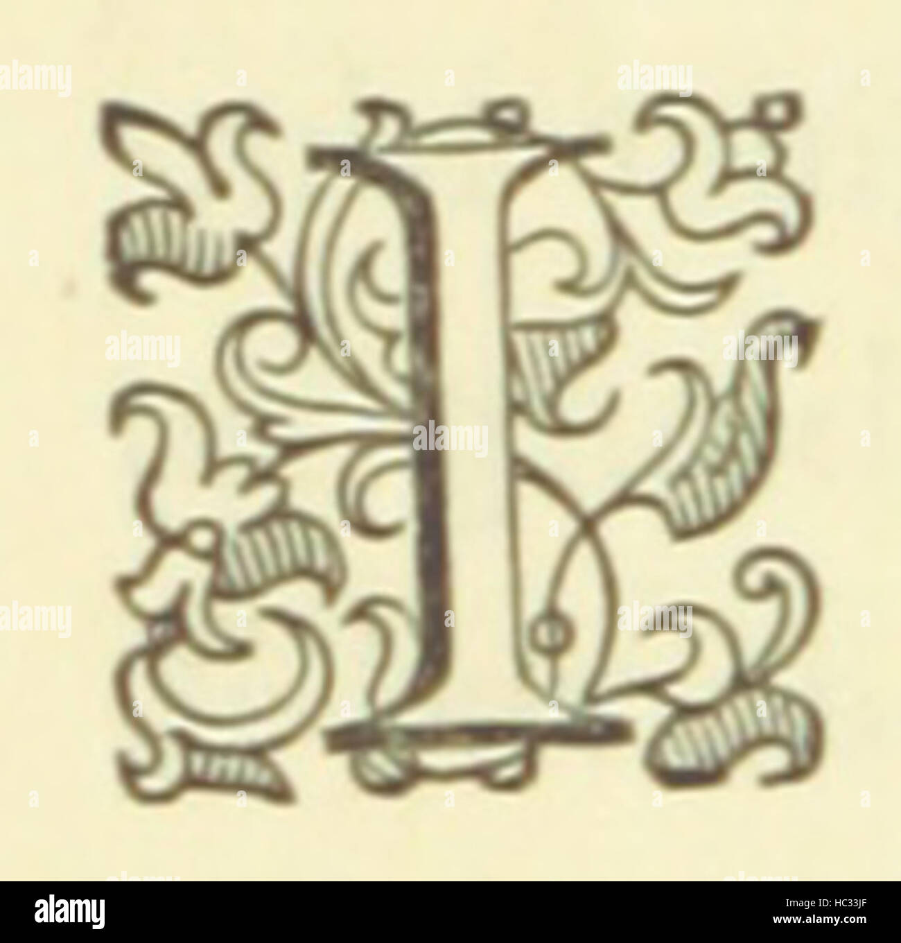 Miss Finch High Resolution Stock Photography and Images - Alamy