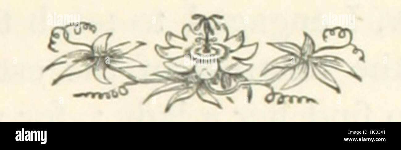 This page presents the novel 'Sarah Deck's Victory', including its plot ...