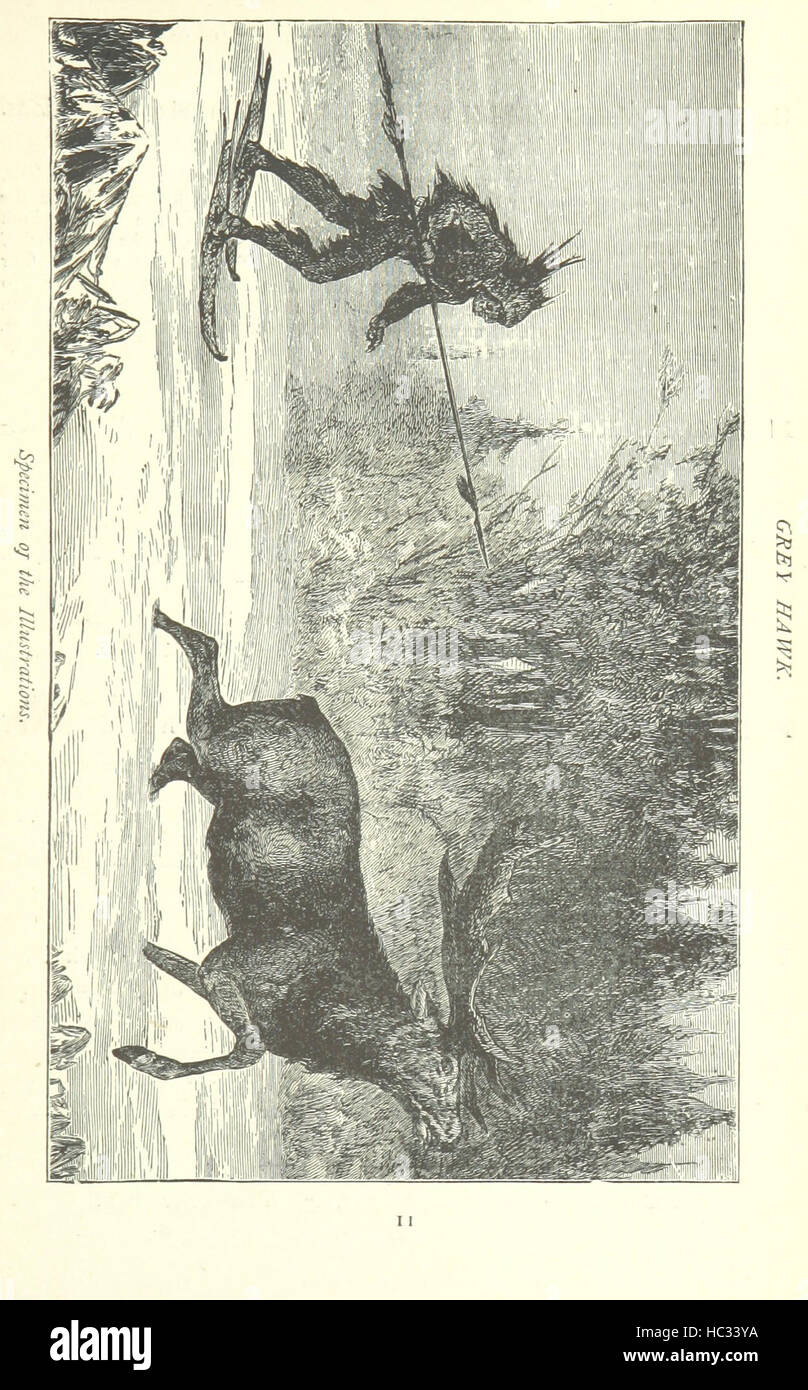 Brotherly love drawing illustration hi-res stock photography and images ...