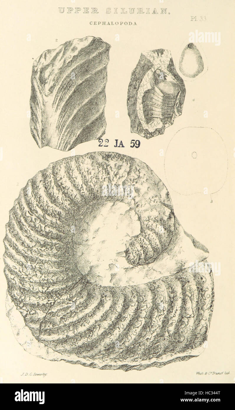 An image from page 698 of 'Siluria,' a text on the history and ...