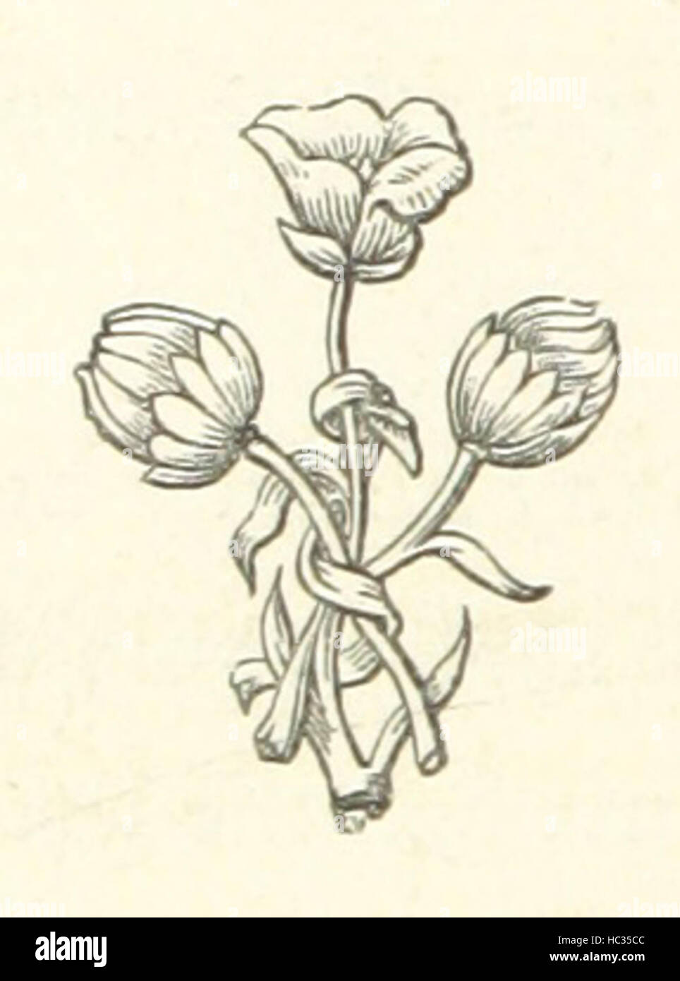 An illustration from 'The Works of Alfred,' depicting themes related to ...