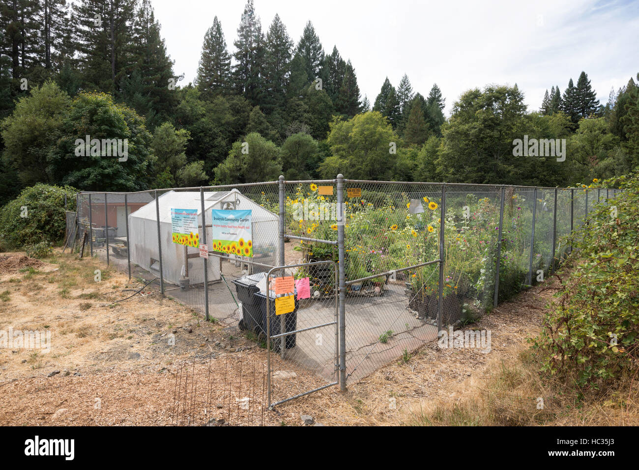 Brooktrails hi-res stock photography and images - Alamy