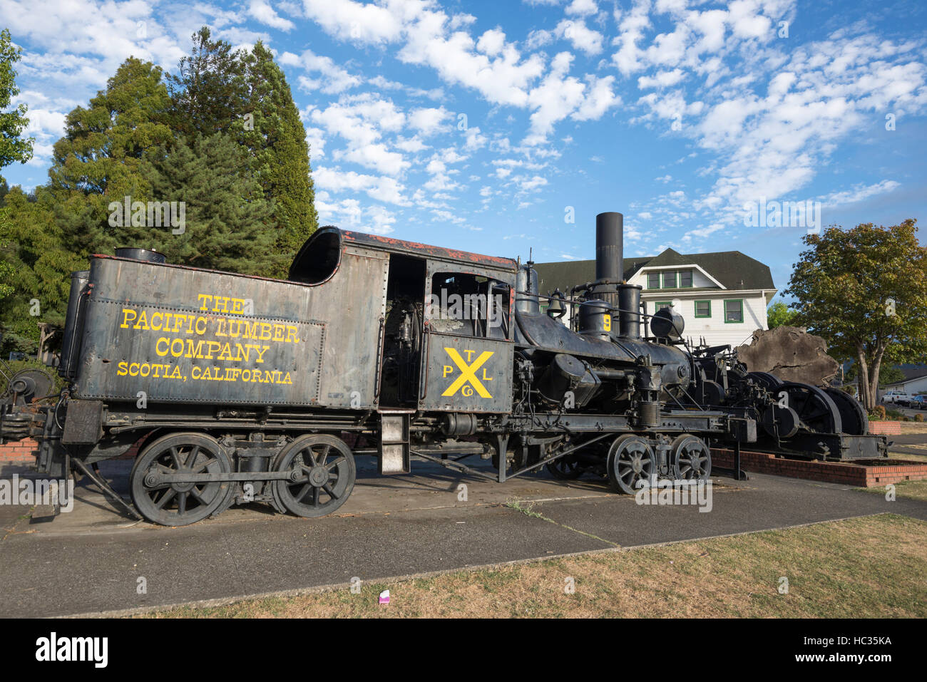 Old Pacific Lumber Company steam locomotive and tender at The Scotia ...