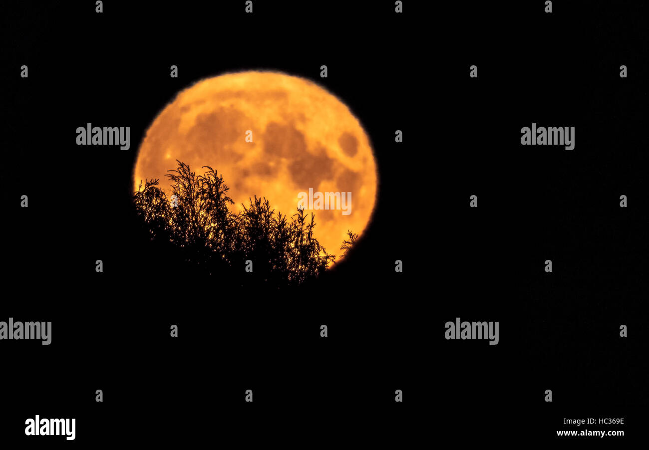 Super moon in Finland 14.11.2016 Stock Photo - Alamy