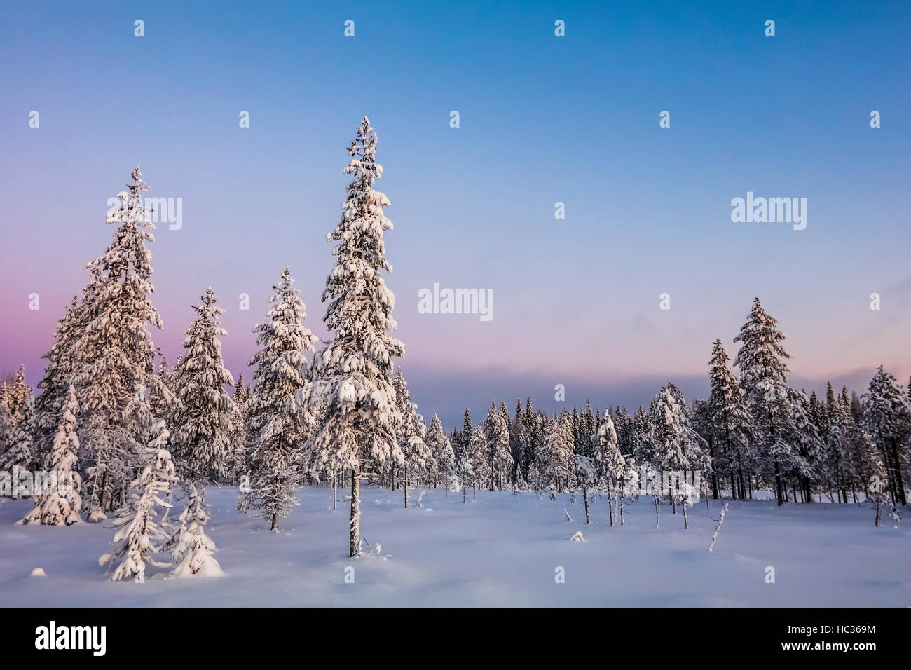 Syote national finland hi-res stock photography and images - Alamy