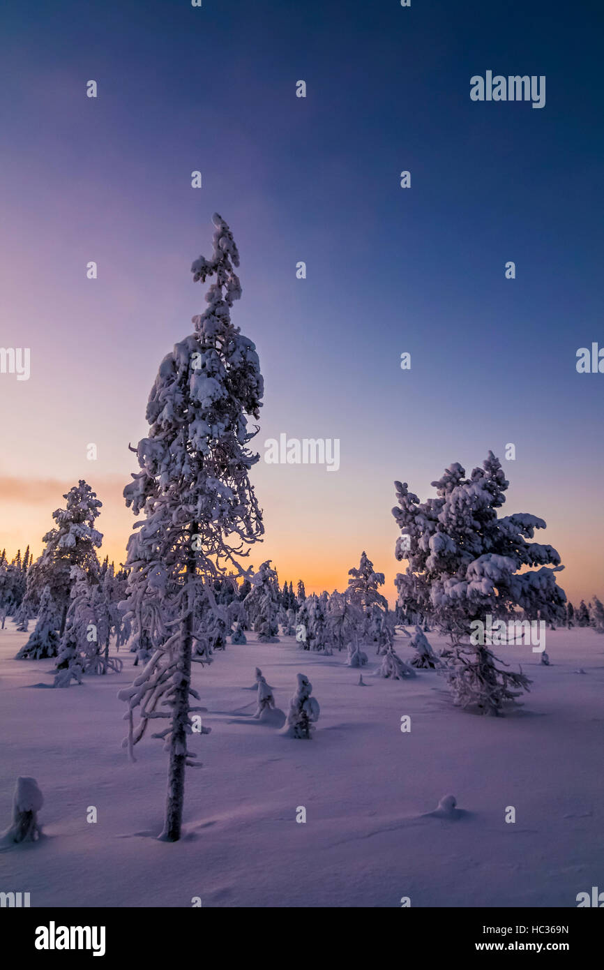 Syote national finland hi-res stock photography and images - Alamy