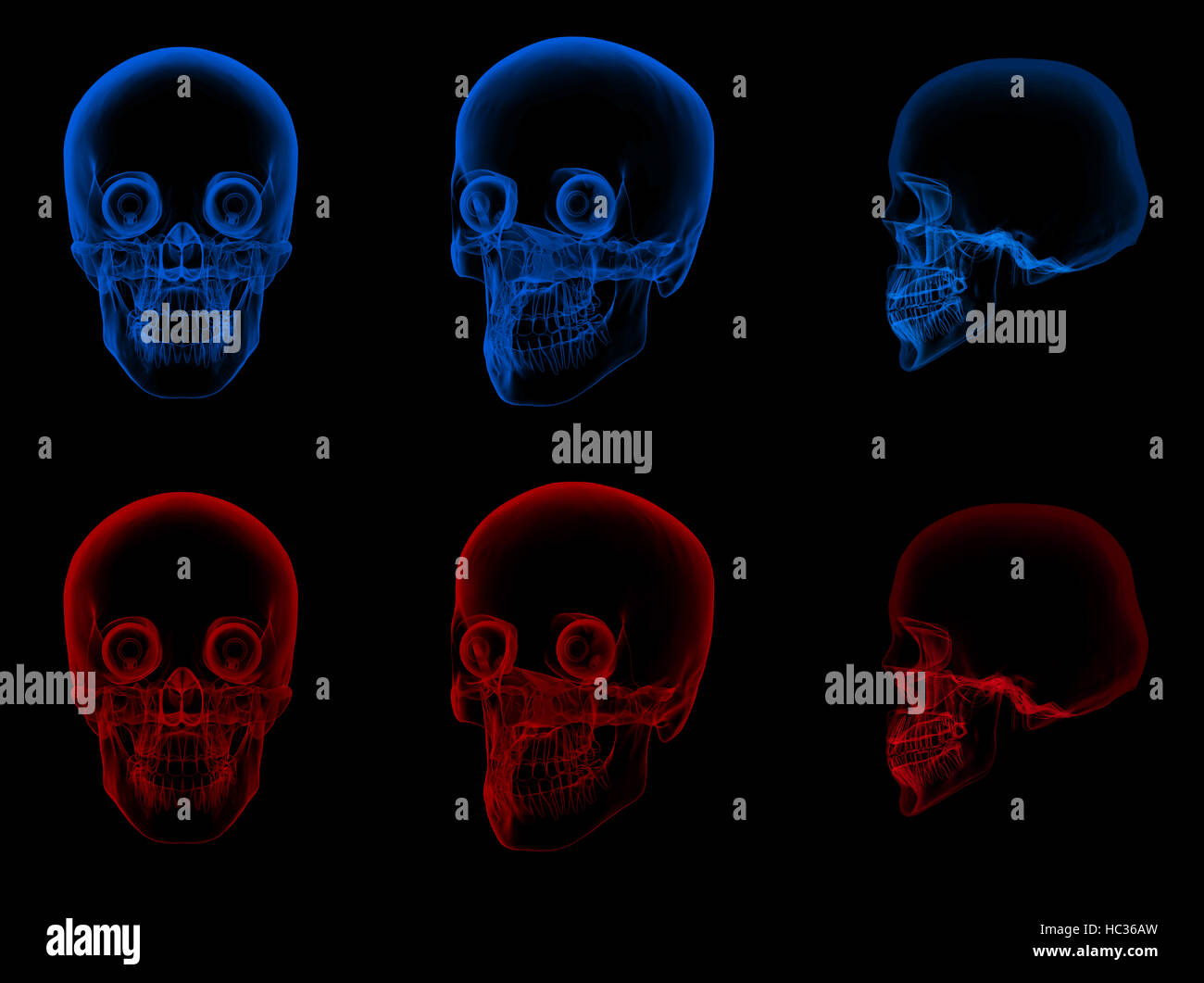 Internal structure of the human eye hi-res stock photography and images ...