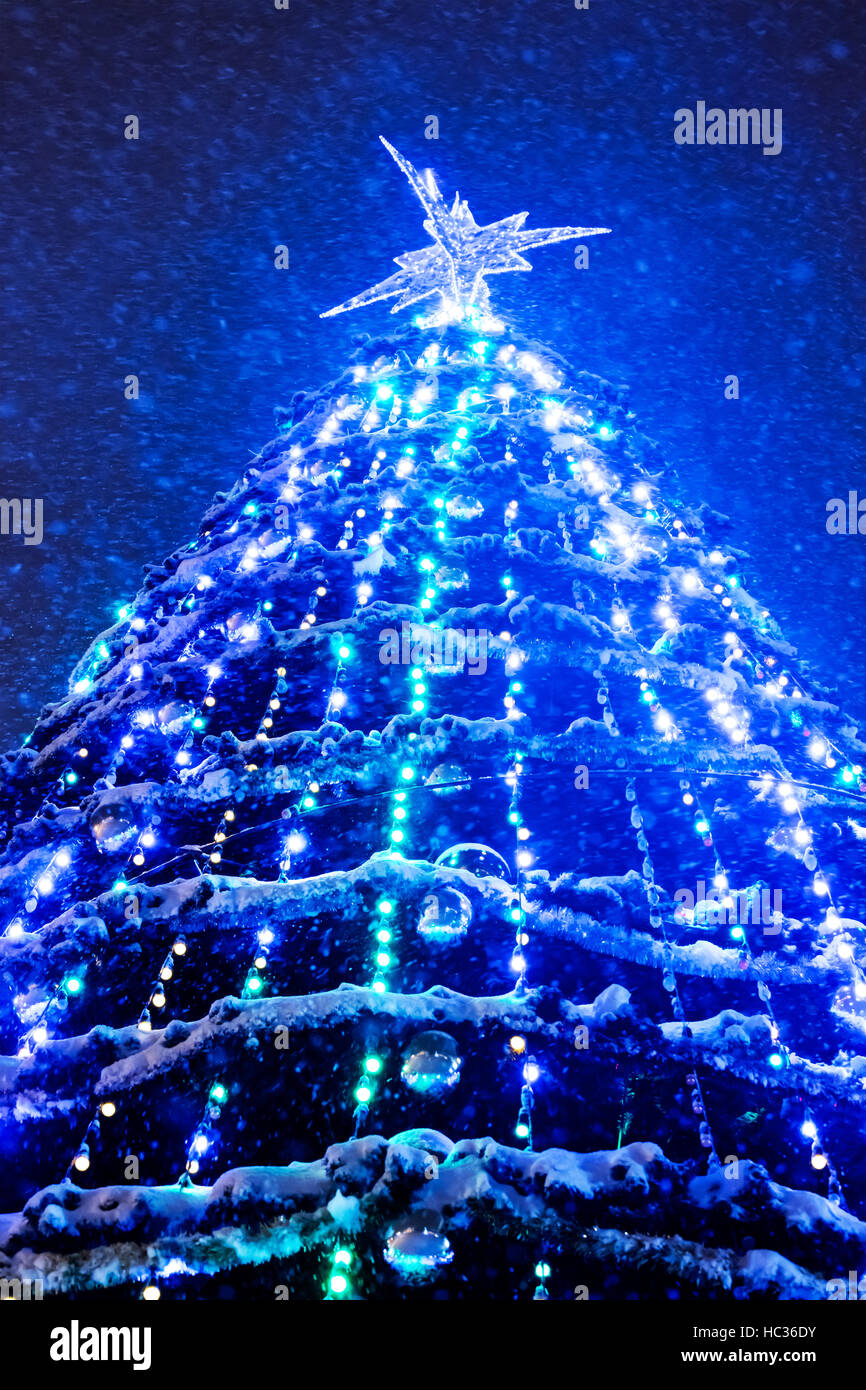 magnificent christmas tree decorated with multiple lights and big star ...