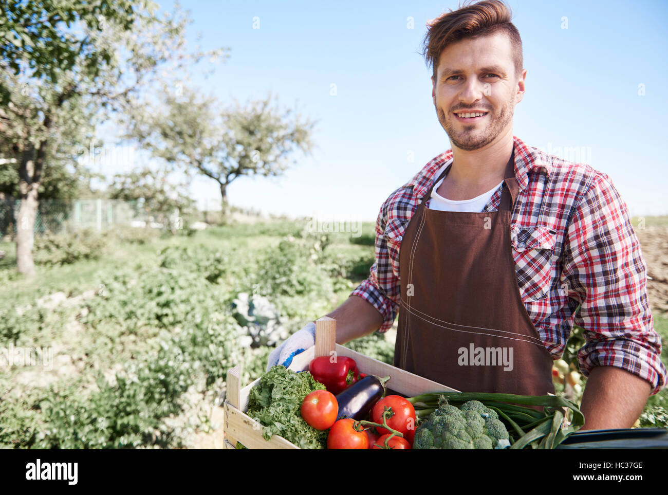 Man is standing with crate full of vegetables Stock Photo - Alamy
