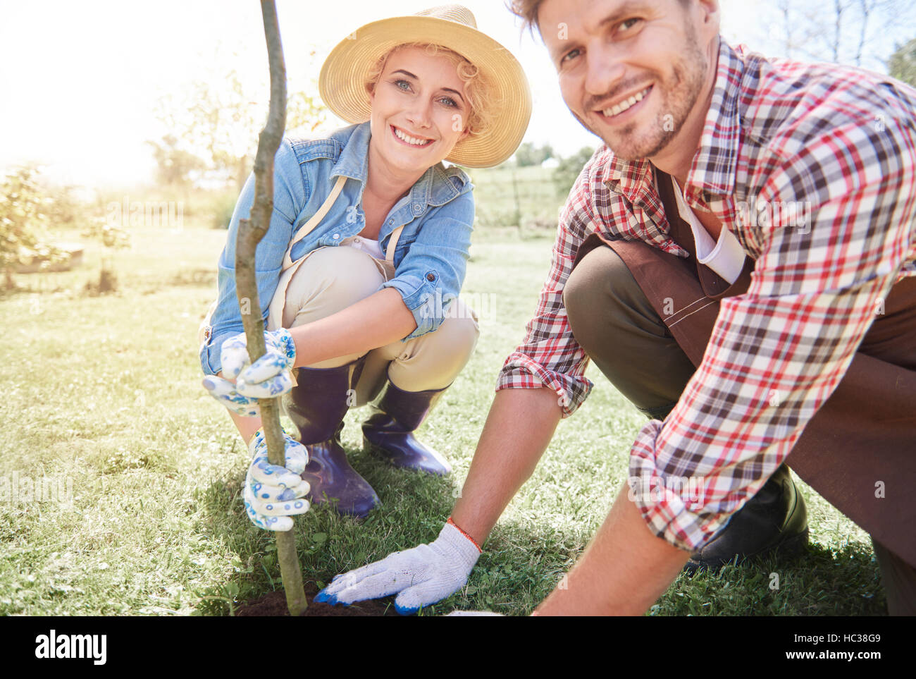 Planting new tree in their garden Stock Photo - Alamy