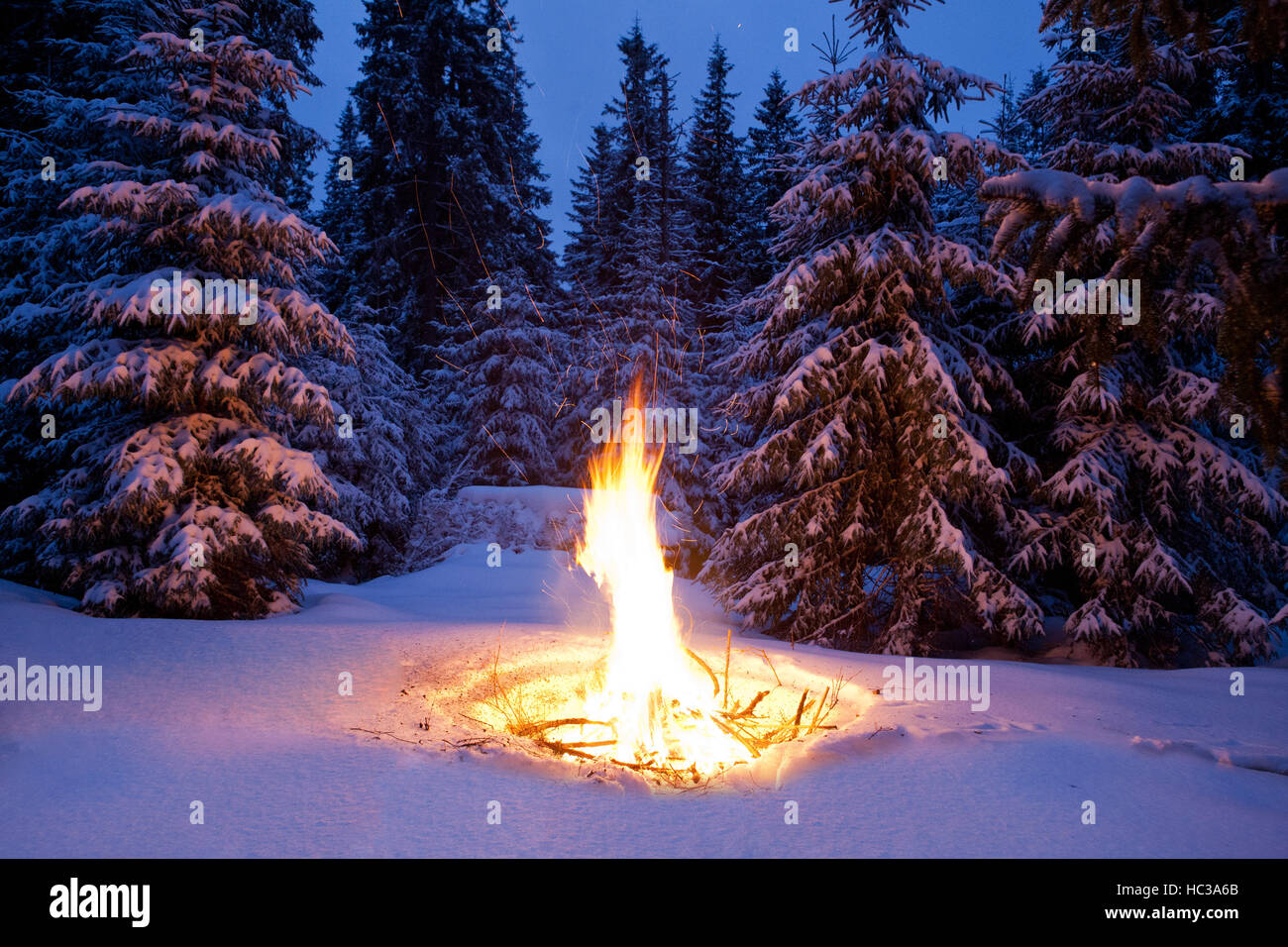 Camp Fire Forest Night Stock Photos & Camp Fire Forest Night Stock ...