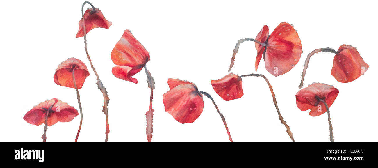 Field in the sun Cut Out Stock Images & Pictures - Alamy