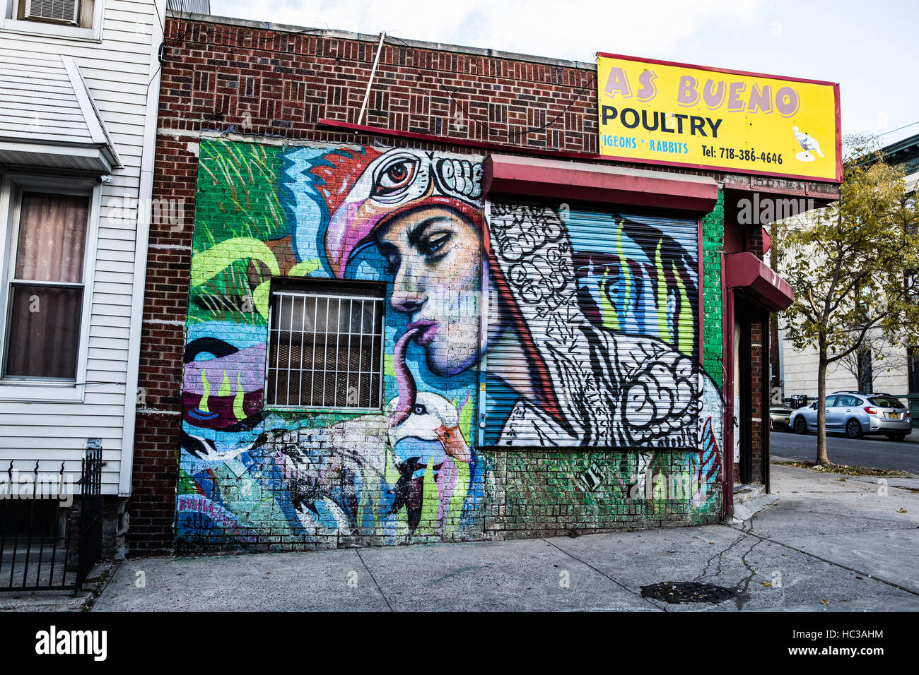 Street Art in Bushwick, Brooklyn. New York, USA. All art by The ...