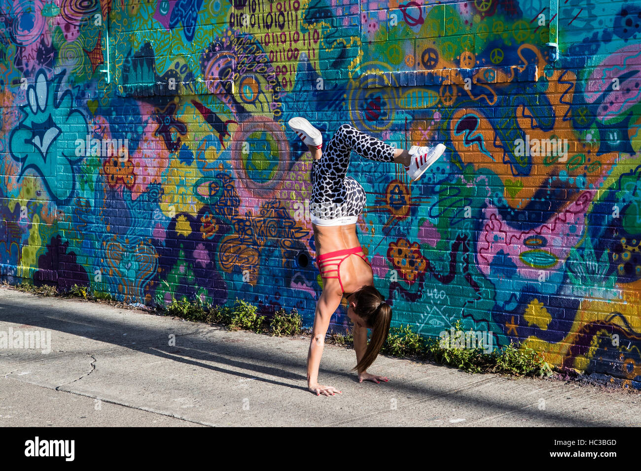 Street Art in Bushwick, Brooklyn. New York, USA. All art by The ...