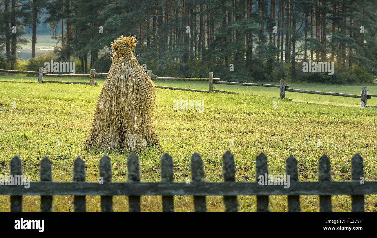Haystack on field close hi-res stock photography and images - Alamy
