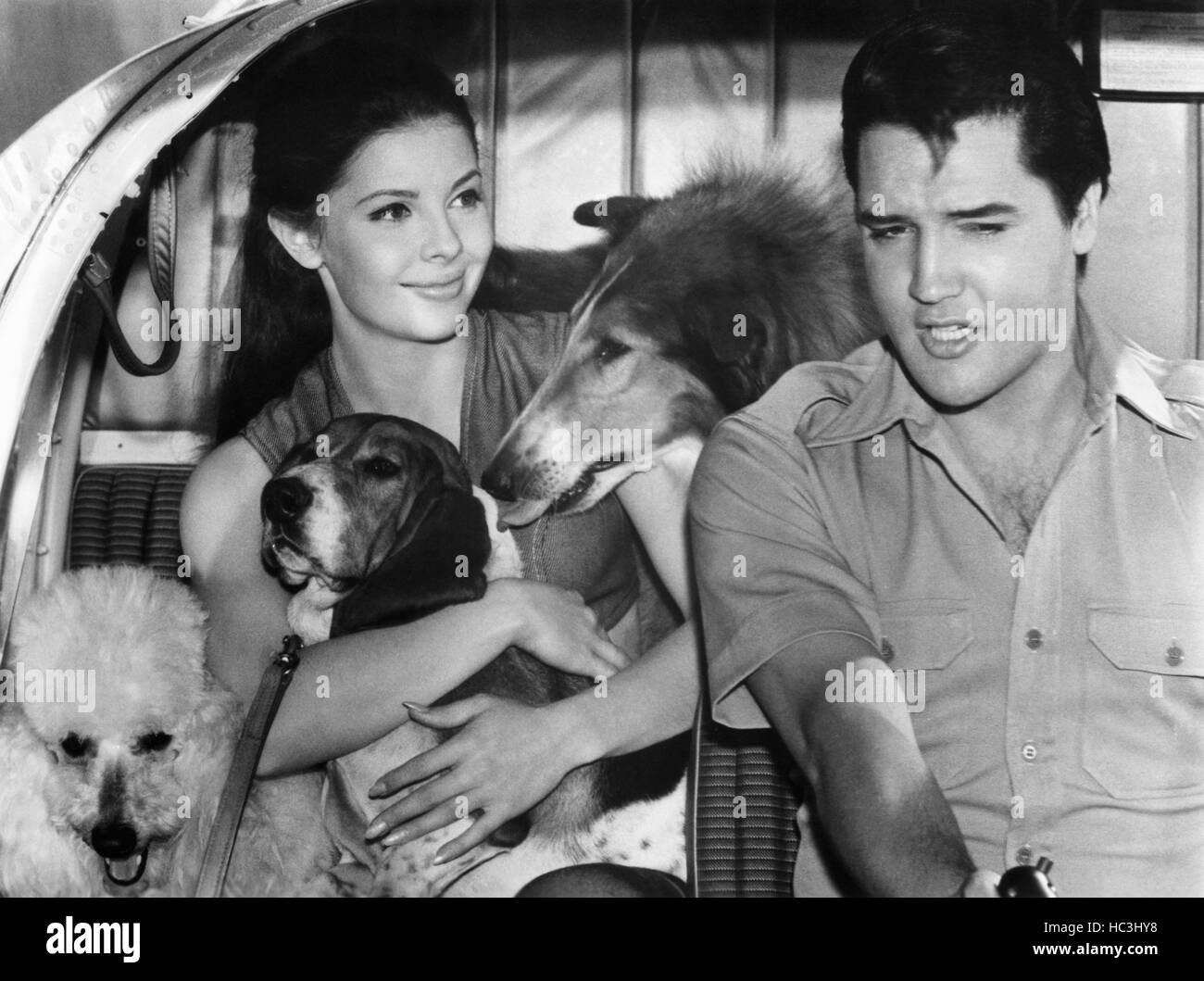 PARADISE HAWAIIAN STYLE, from left, Julie Parrish, Elvis Presley, 1966 ...