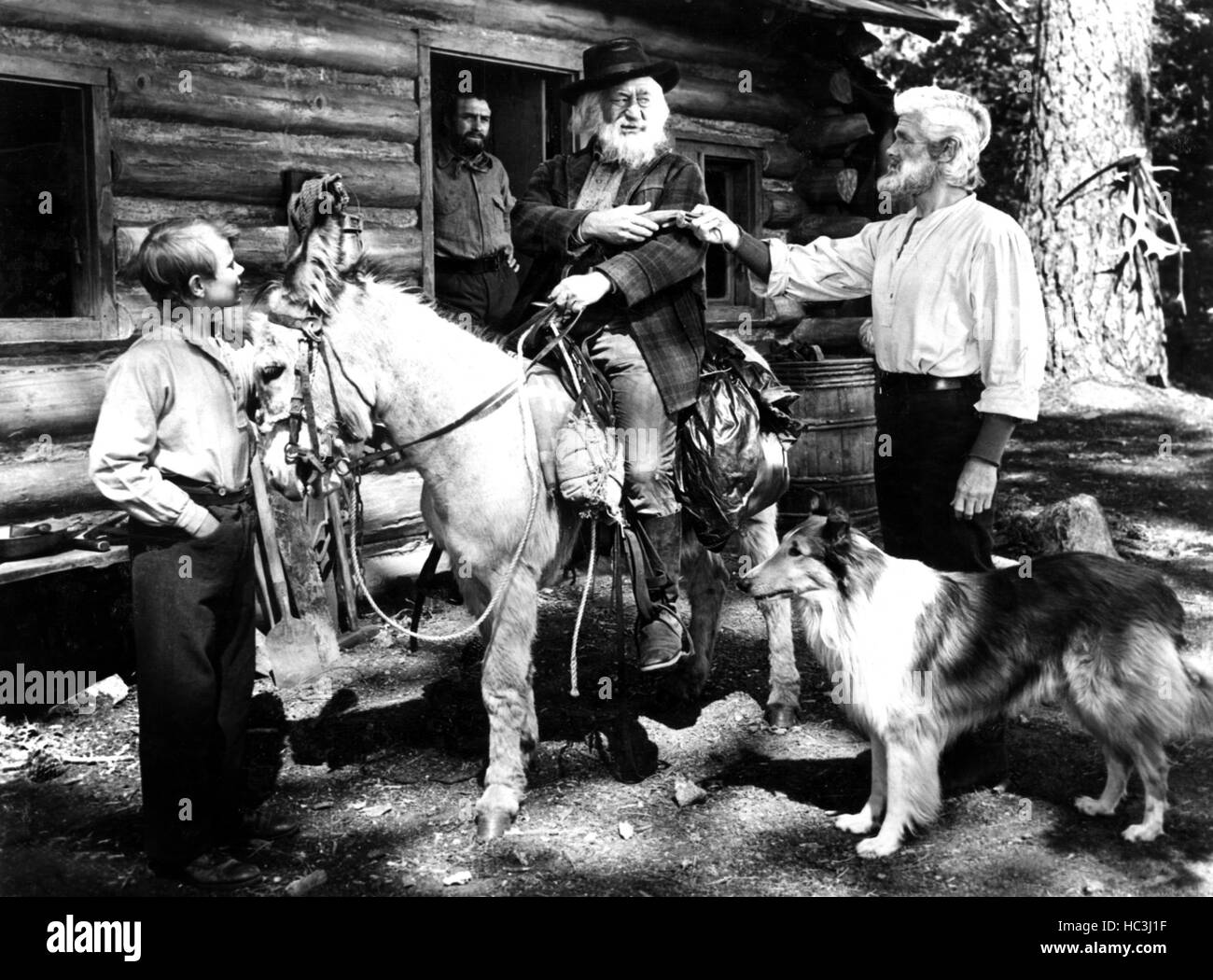 THE PAINTED HILLS, Gary Gray, Bruce Cowling, Art Smith, Paul Kelly ...