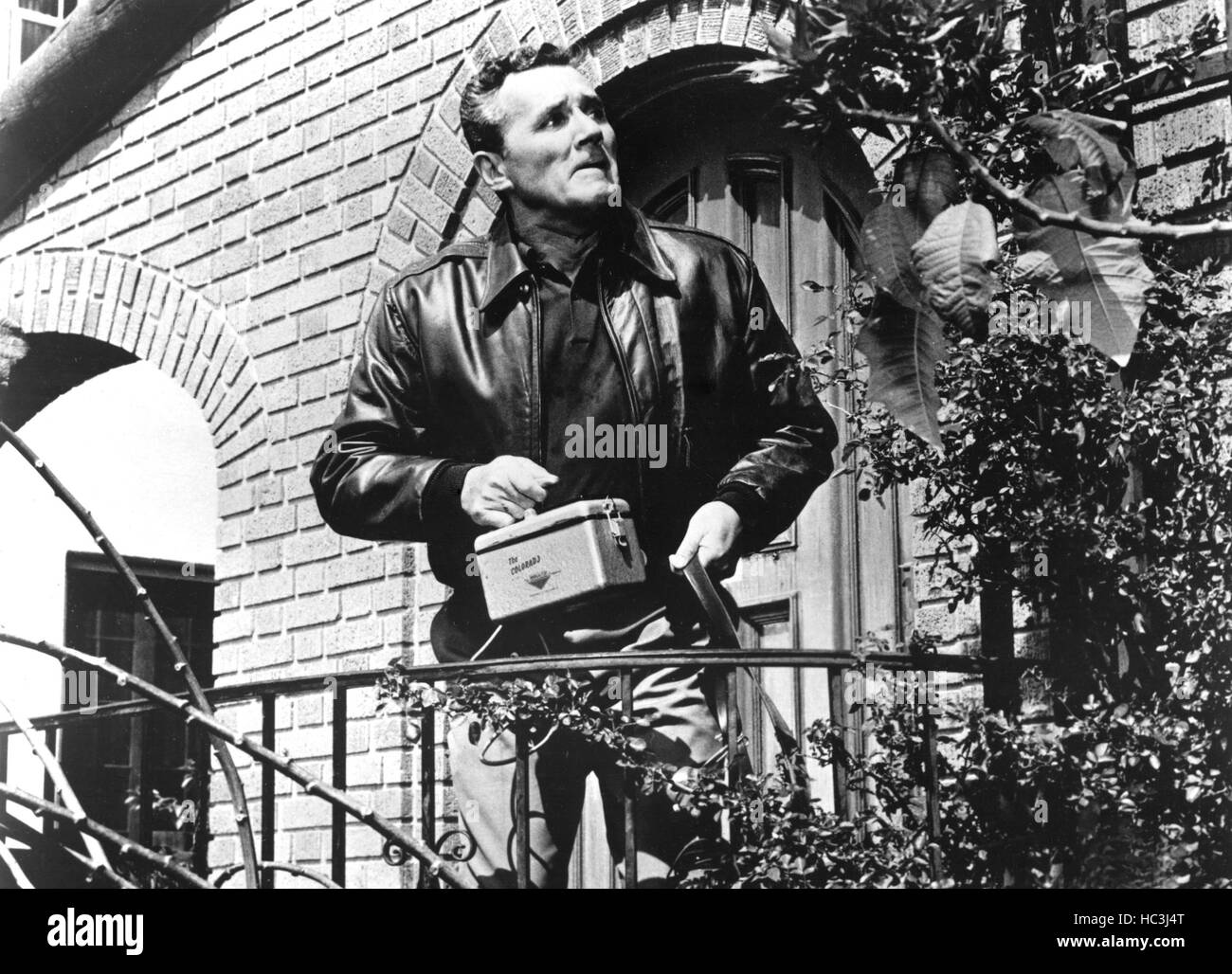 PANIC IN THE CITY, Howard Duff, 1968 Stock Photo - Alamy