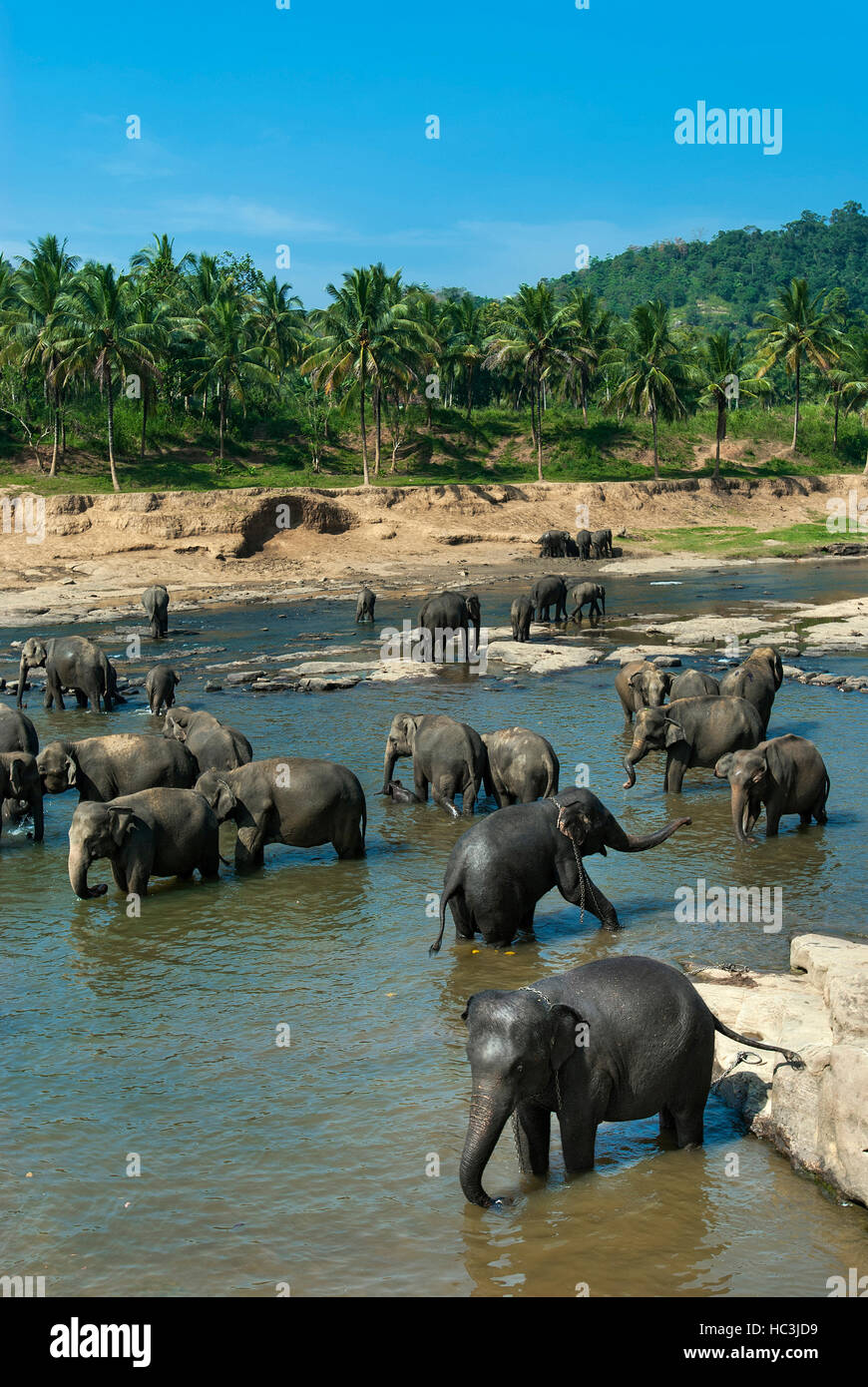 Lanka pinawala hi-res stock photography and images - Alamy
