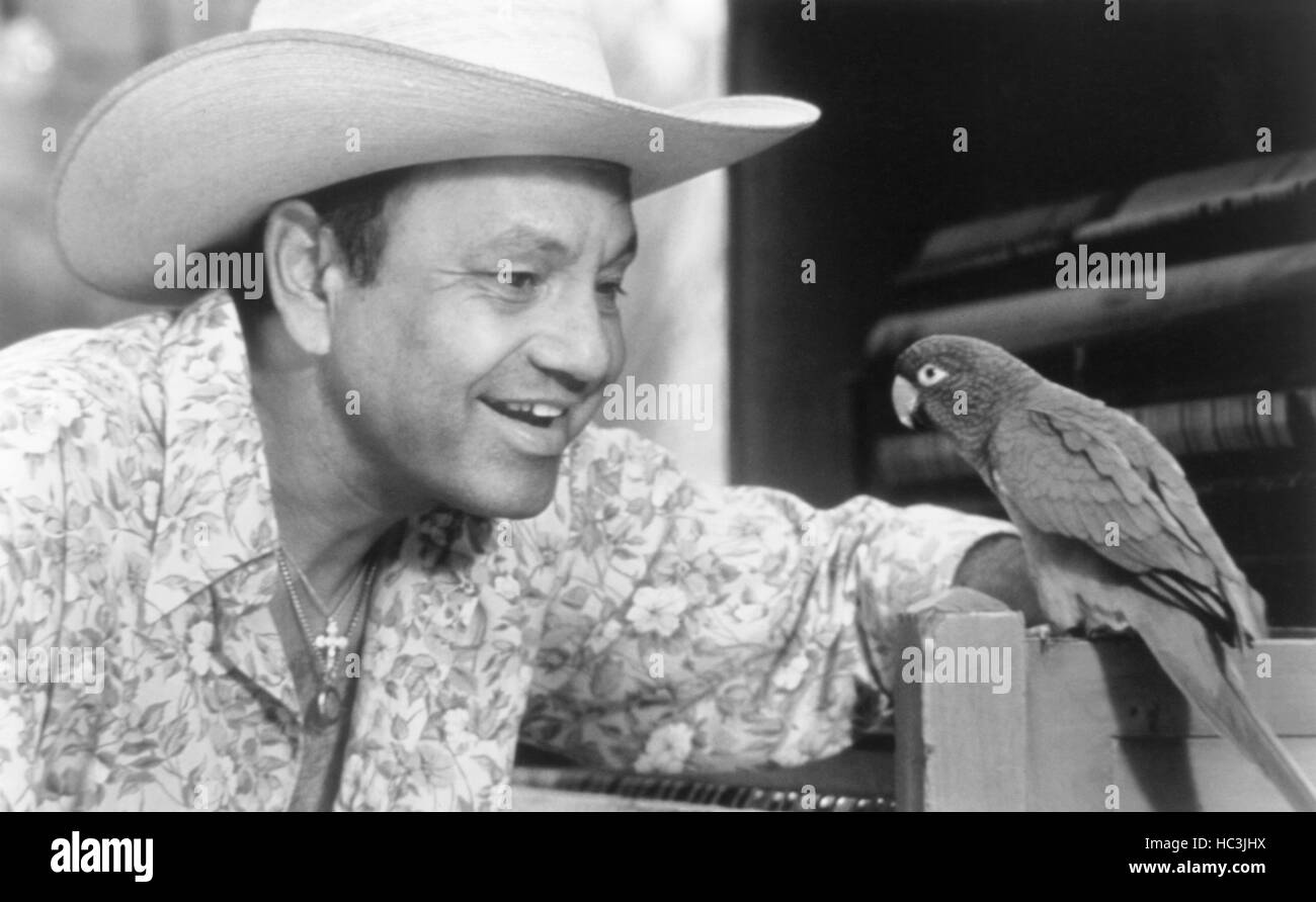 PAULIE, Cheech Marin, 1998. ©Dreamworks/courtesy Everett Collection ...