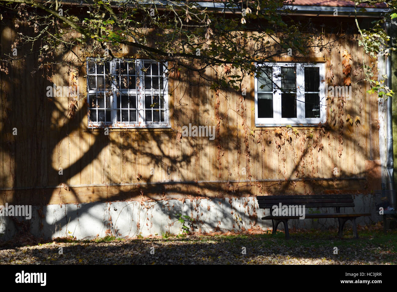 Shadows on a wooden wall of house Stock Photo - Alamy