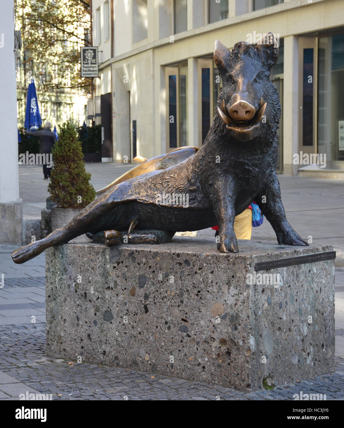 Wildboar city hi-res stock photography and images - Alamy