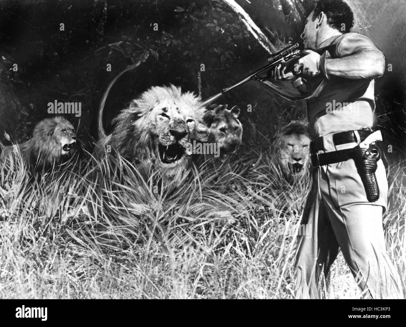 PERILS OF THE JUNGLE, Clyde Beatty, 1953 Stock Photo - Alamy