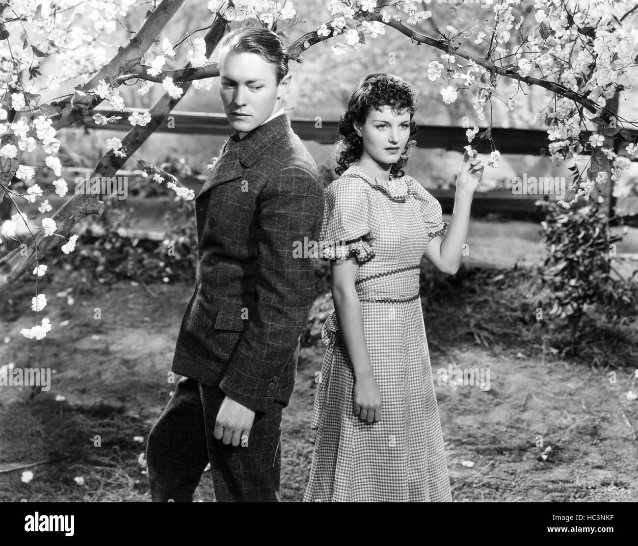 POPPY, from left, Richard Cromwell, Rochelle Hudson, 1936 Stock Photo ...