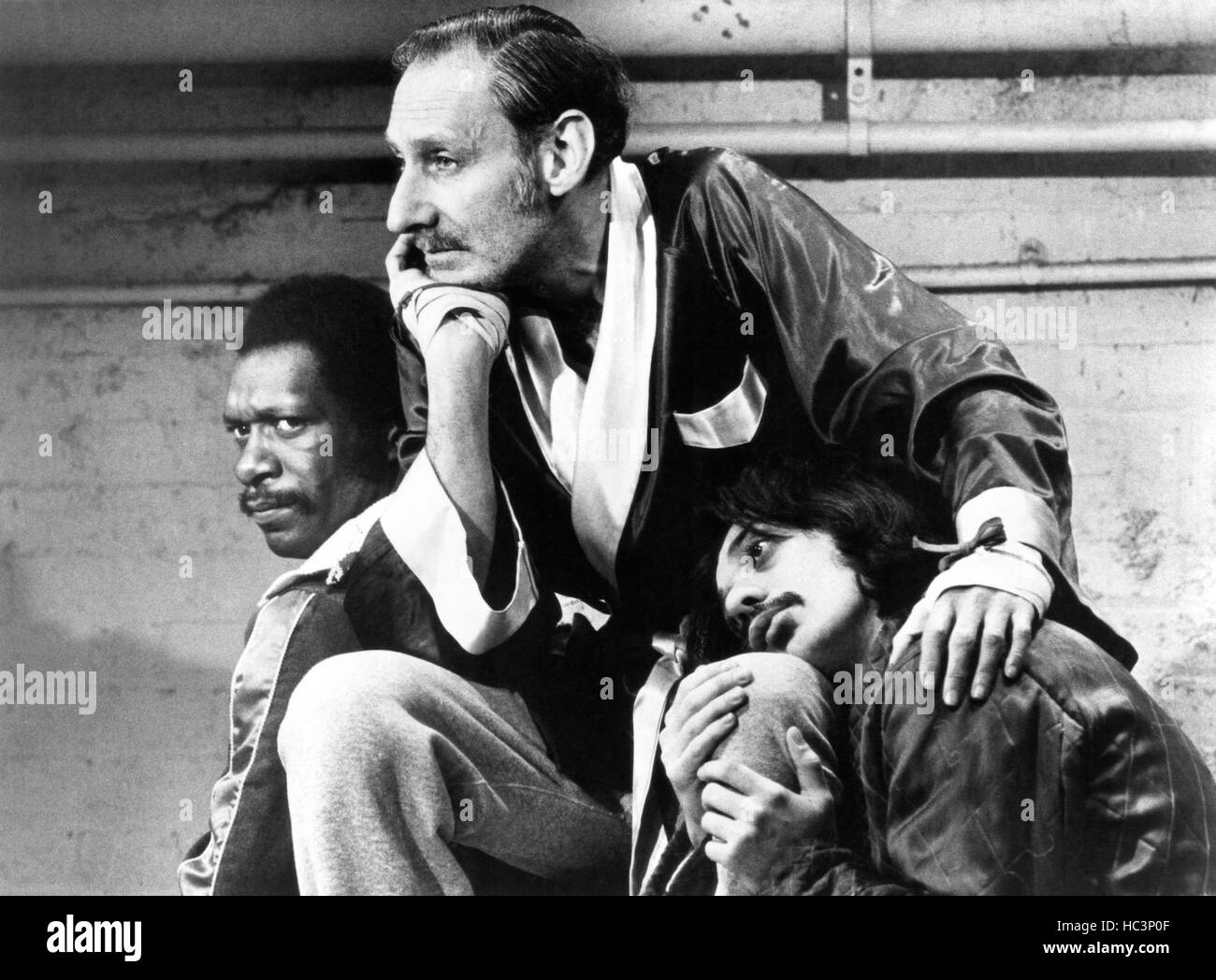 POUND, Stan Gottlieb (center), Don Calfa (right), 1970 Stock Photo - Alamy