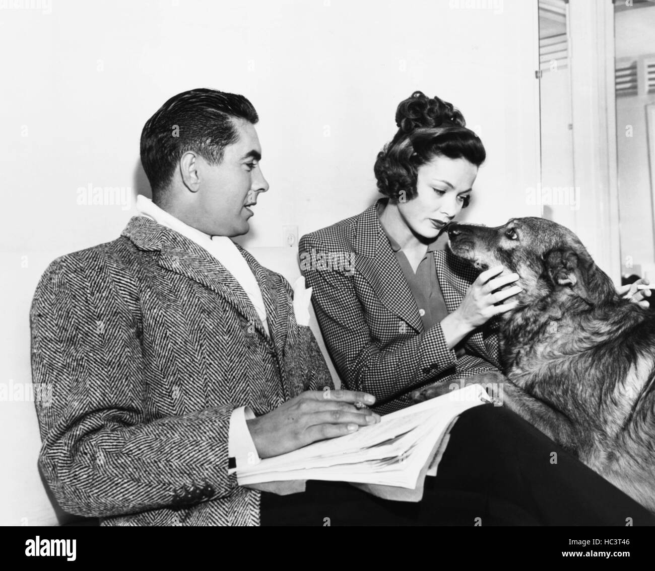 THE RAZOR'S EDGE, from left: Tyrone Power, Gene Tierney with her dog ...