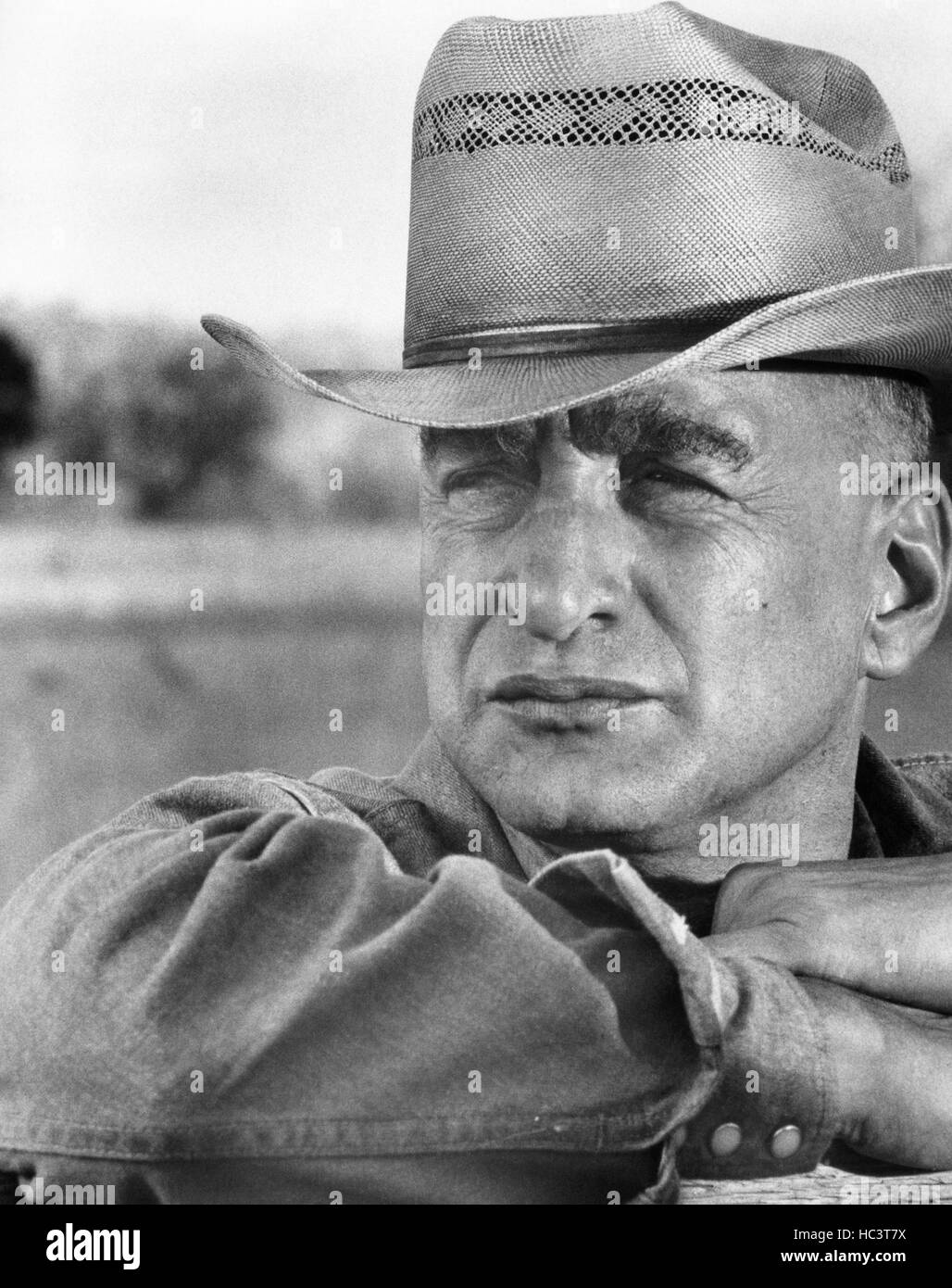 RAGE, George C. Scott, 1972 Stock Photo - Alamy
