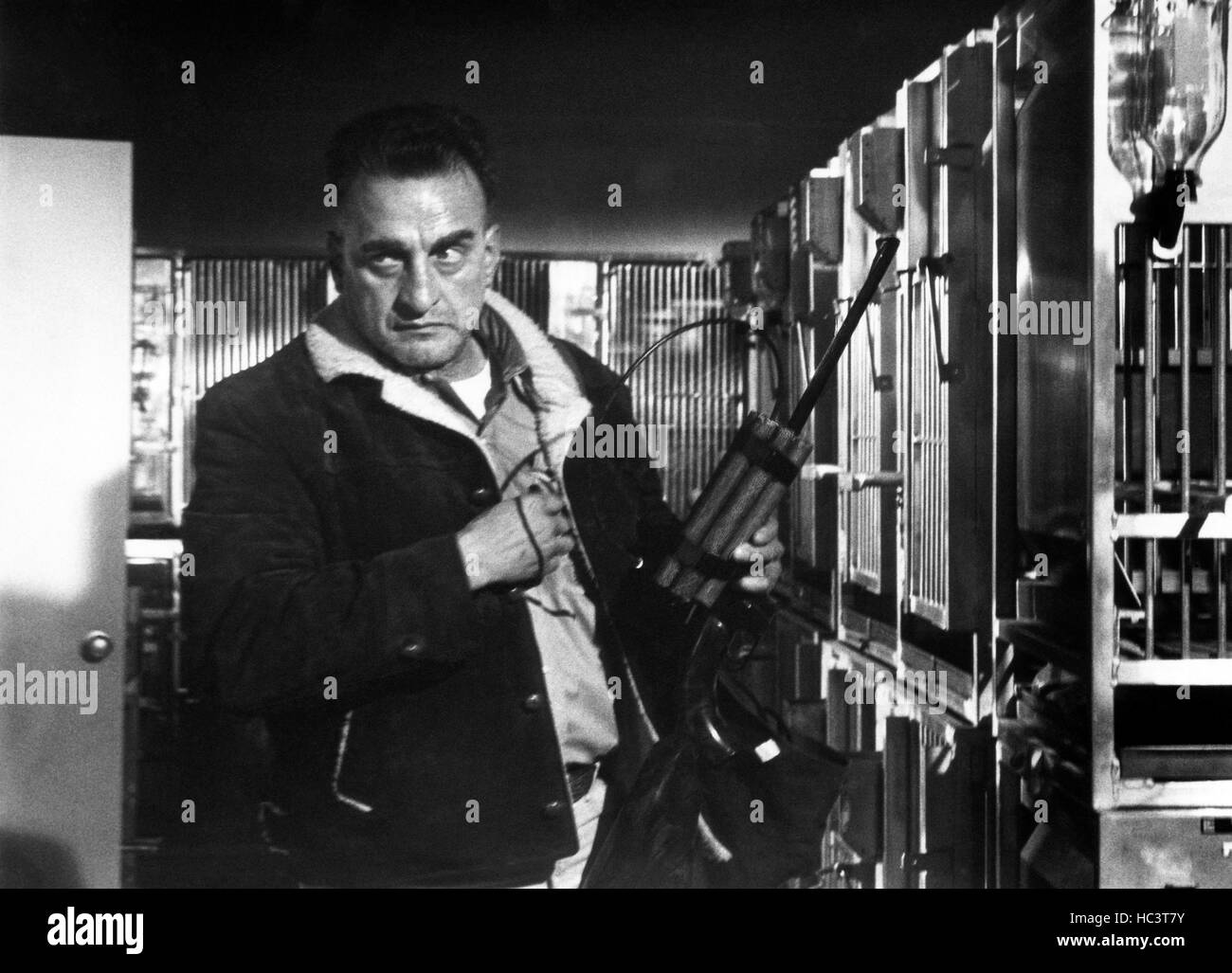 RAGE, George C. Scott, 1972 Stock Photo - Alamy