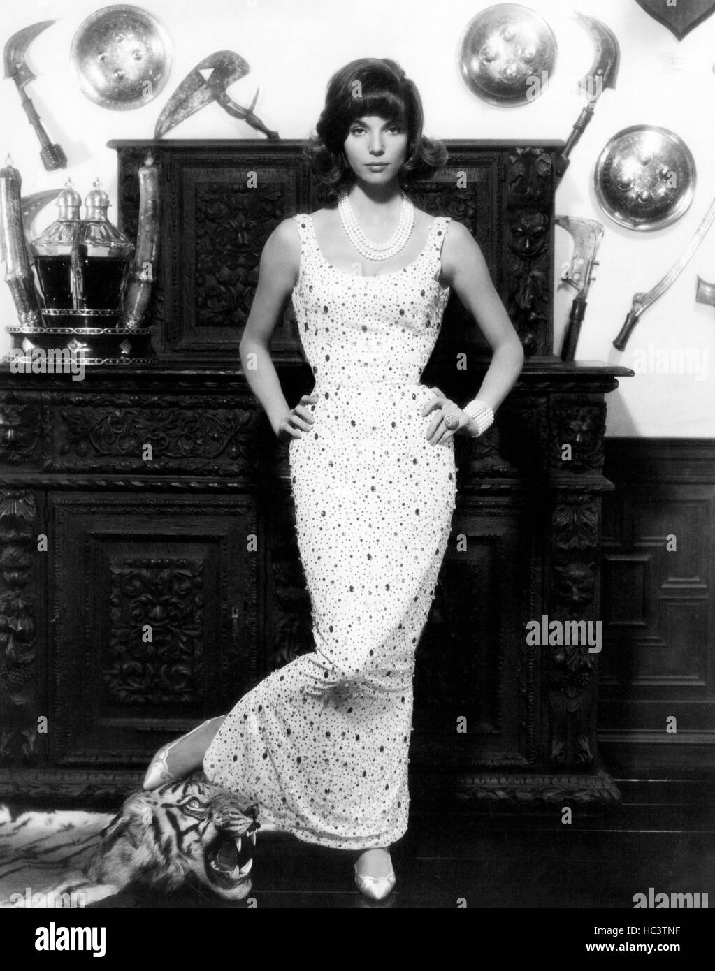 Elsa martinelli portrait hi-res stock photography and images - Alamy