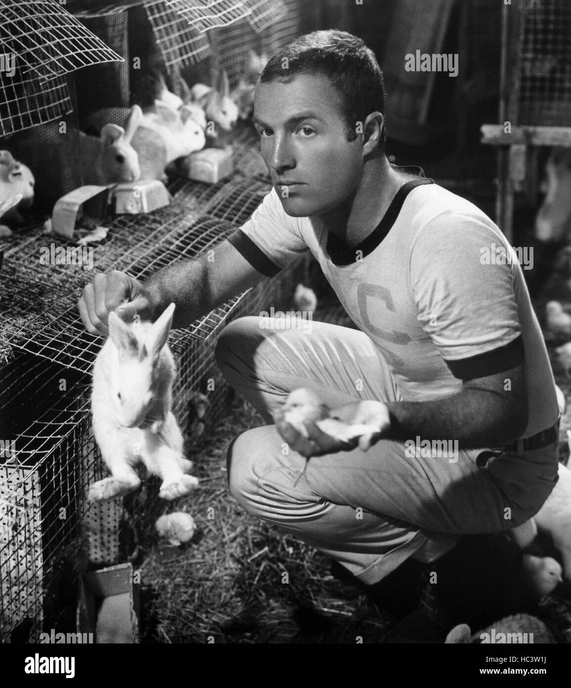 THE RAIN PEOPLE, James Caan, 1969 Stock Photo - Alamy