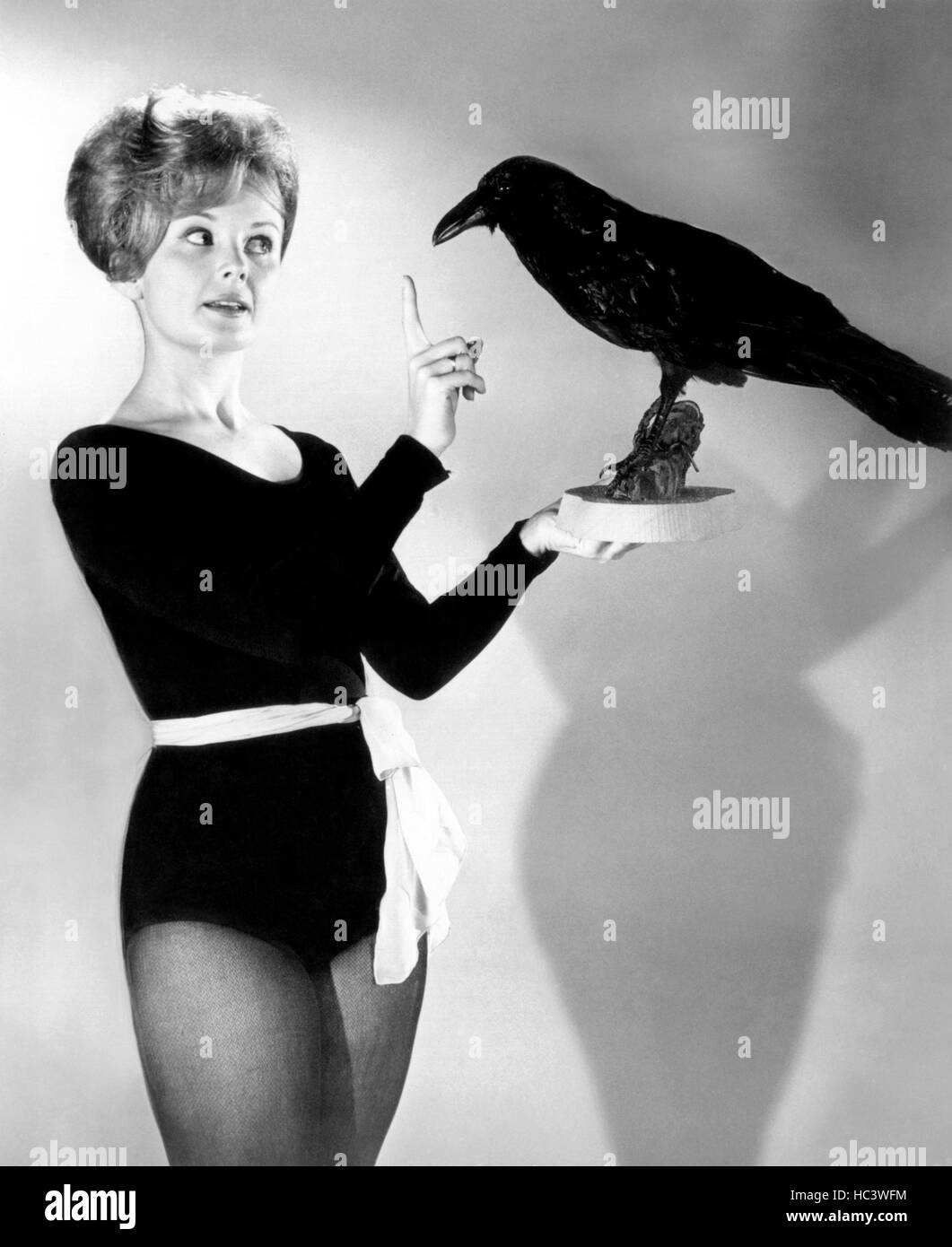 THE RAVEN, Olive Sturgess, 1963 Stock Photo - Alamy