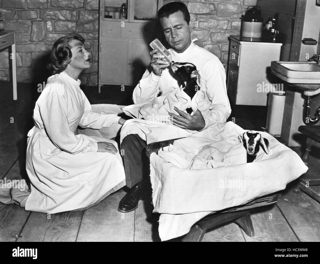 THE REFORMER AND THE REDHEAD, from left: June Allyson, Dick Powell ...