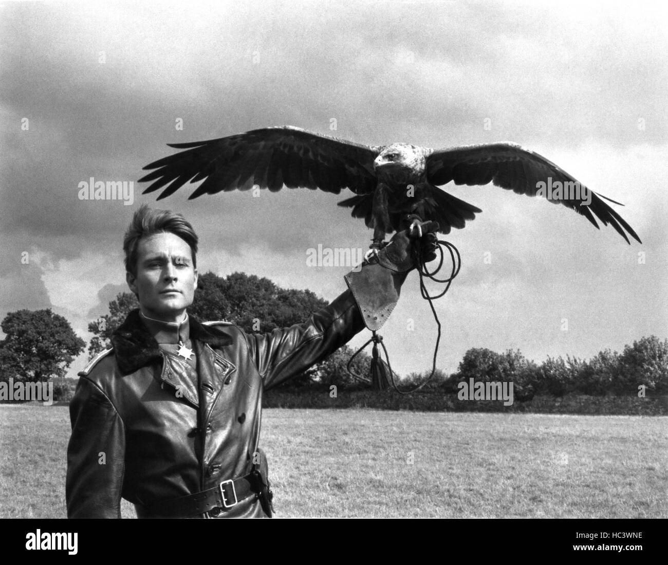THE RED BARON, (aka VON RICHTHOFEN AND BROWN), John Phillip Law, 1971 ...