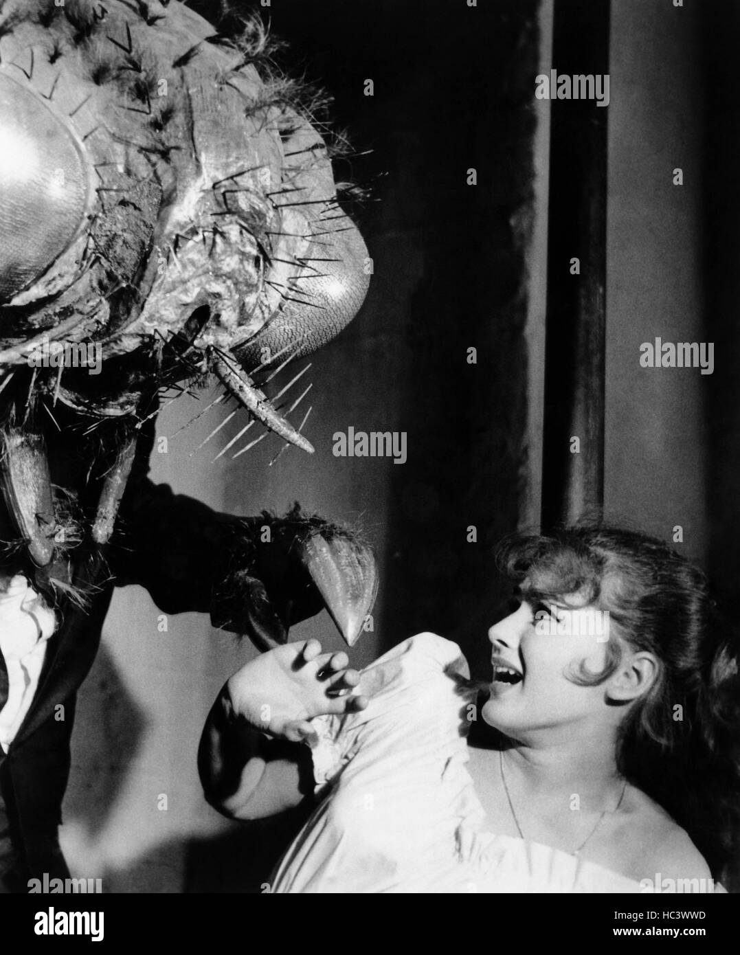 RETURN OF THE FLY, Ed Wolff, Danielle De Metz, 1959 Stock Photo - Alamy