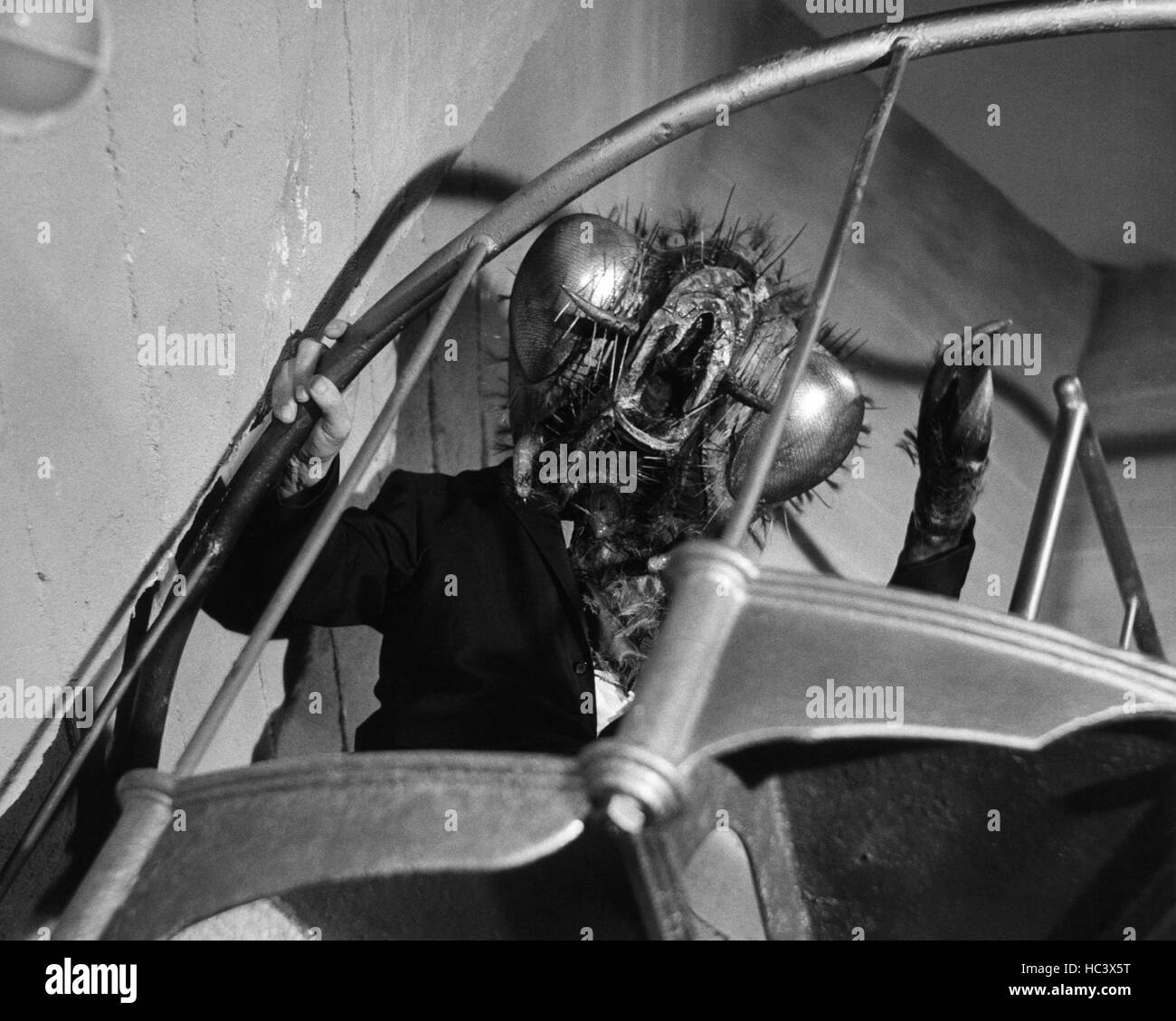 RETURN OF THE FLY, Ed Wolff, 1959, TM and Copyright ©20th Century-Fox ...
