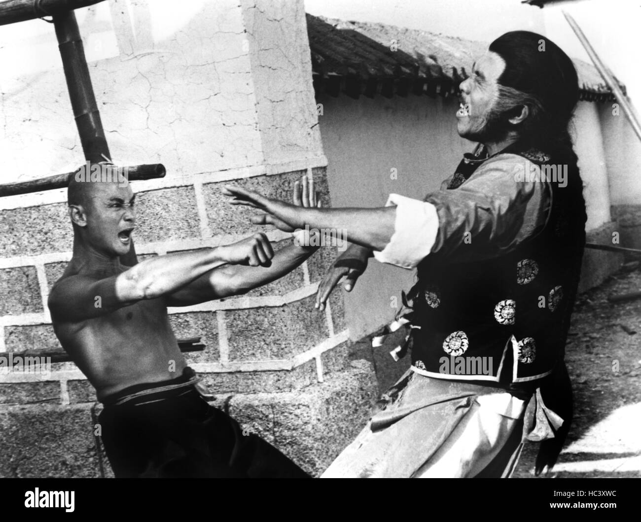 (aka SHAO LIN DA PENG DA SHI aka RETURN OF THE MASTER KILLER aka MASTER ...