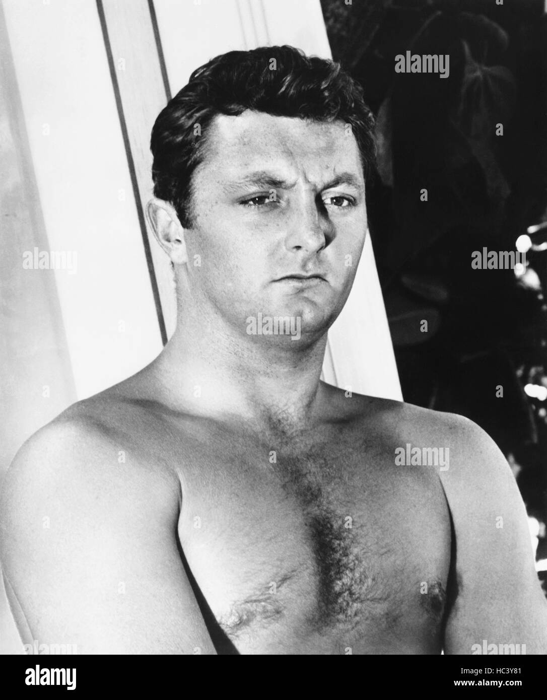 RIDE THE WILD SURF, James Mitchum, 1964 Stock Photo - Alamy
